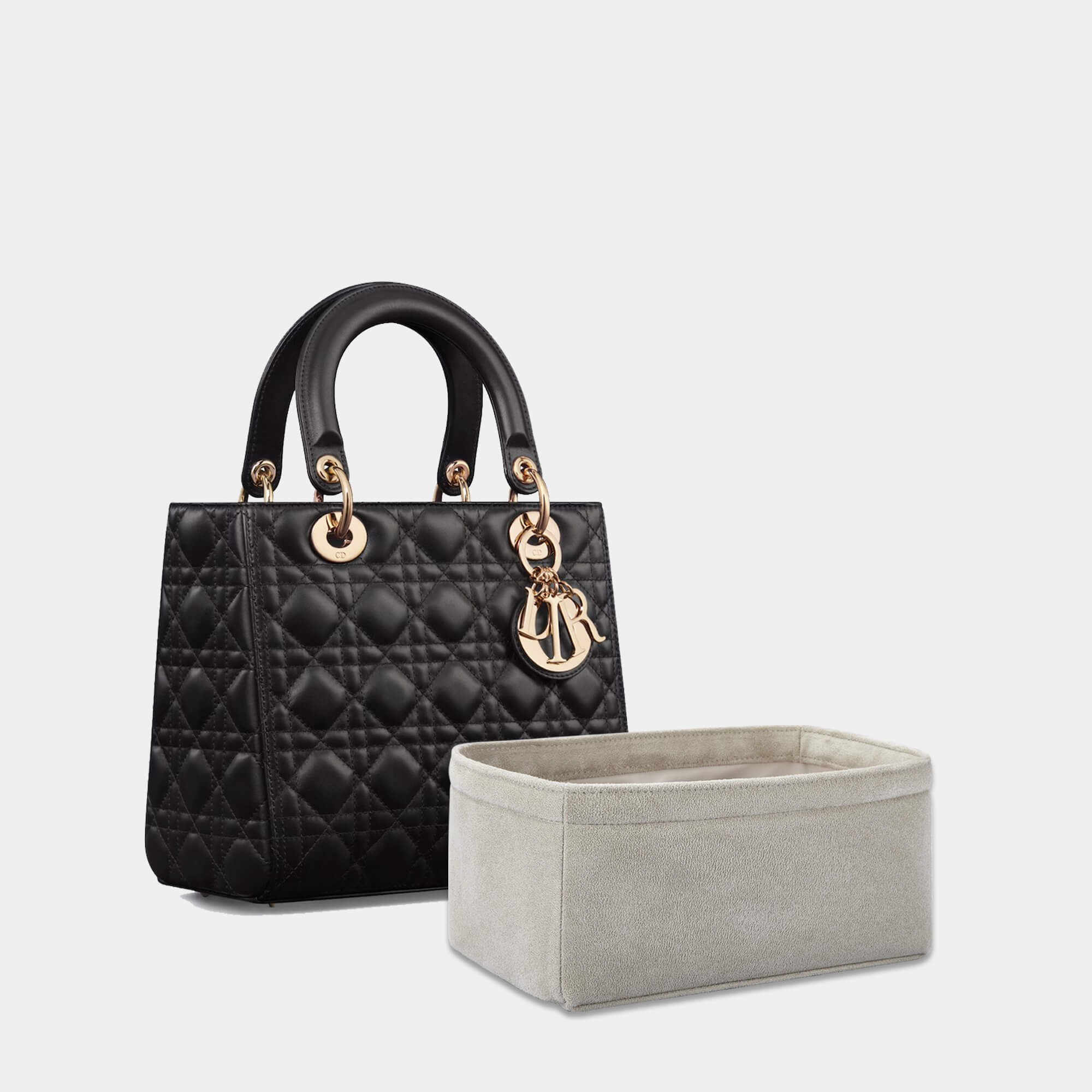Suede Dior Organizer